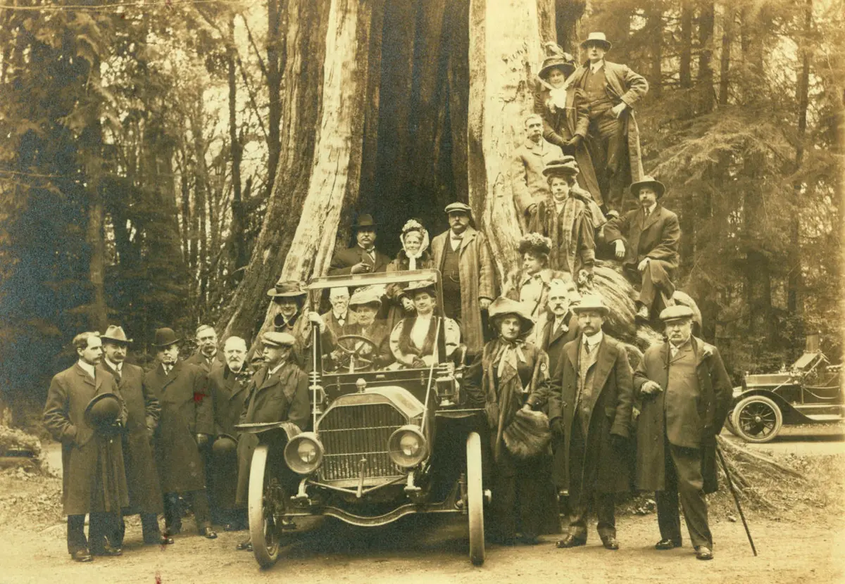 Where to See Big Trees in Vancouver | Destination Vancouver