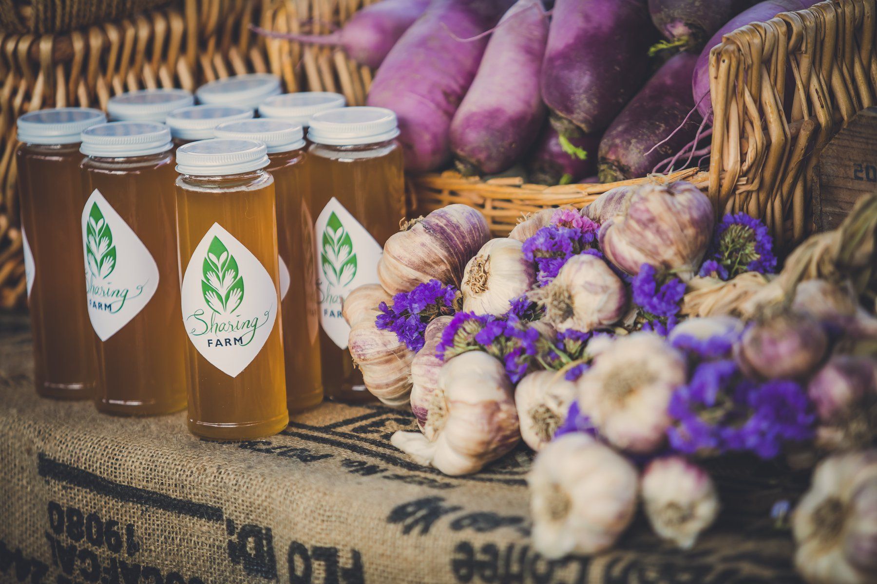 11th Annual Garlic Festival in Vancouver features unique, garlic ...