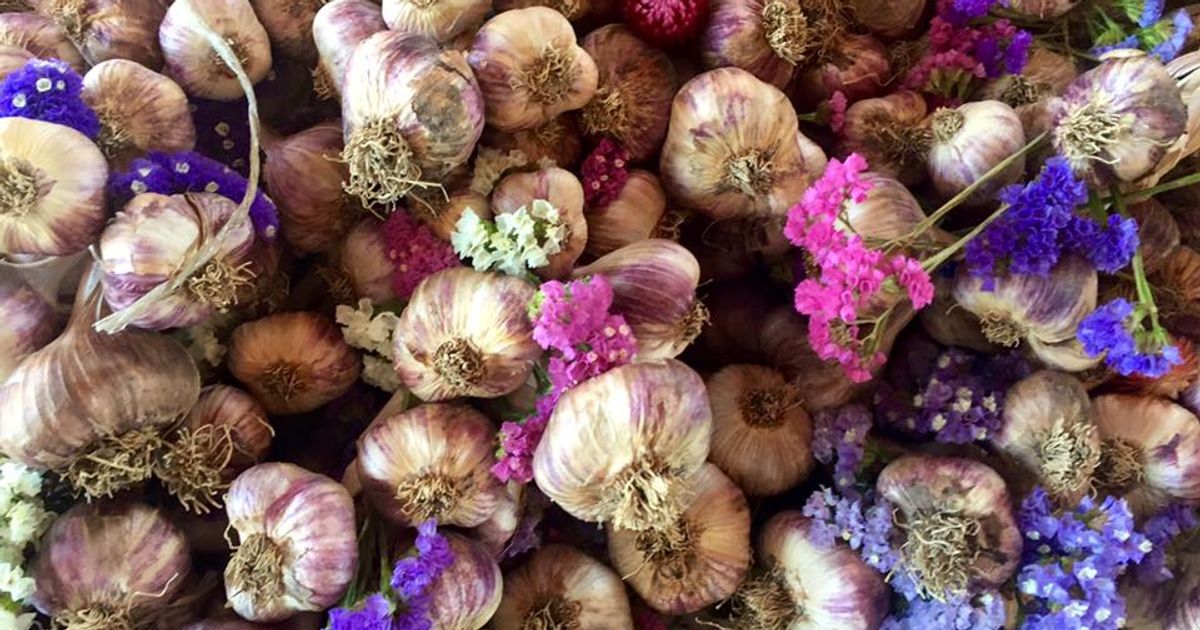 11th Annual Garlic Festival in Vancouver features unique, garlic ...
