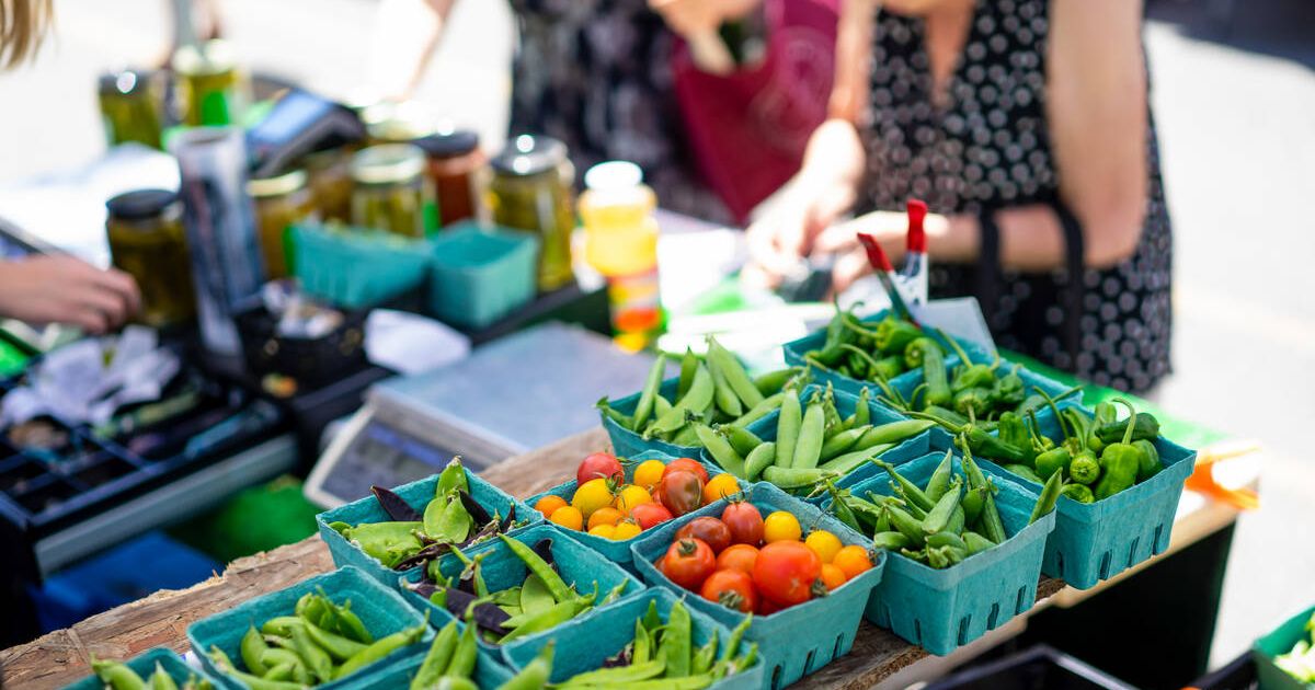 Where to Find Fresh BC Foods This Summer in Vancouver | Destination ...