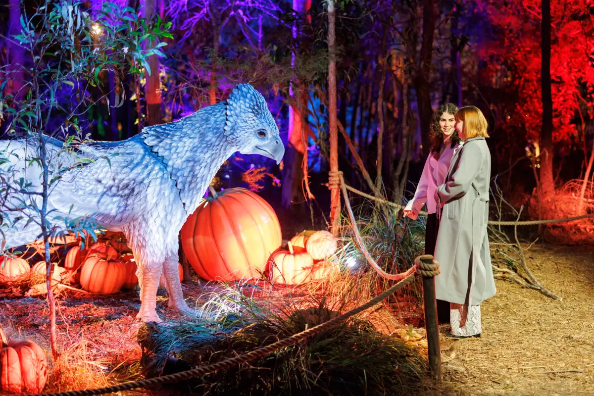 Your Harry Potter Forbidden Forest Experince Awaits in Vancouver's ...