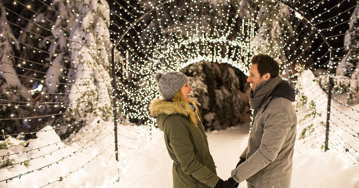 Light Walk on Grouse Mountain is a Dazzling, Dreamy Winter Light ...