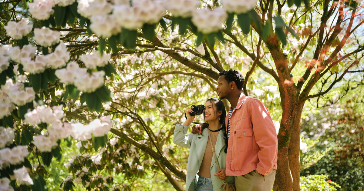 Upcoming Spring Events in Vancouver