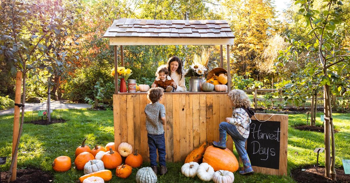 Harvest Days | Destination Vancouver