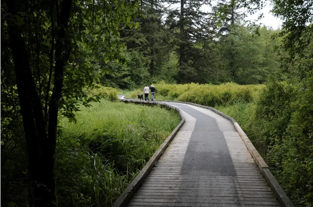 15 Urban Parks Around Vancouver That Feel Like Wilderness | Destination ...