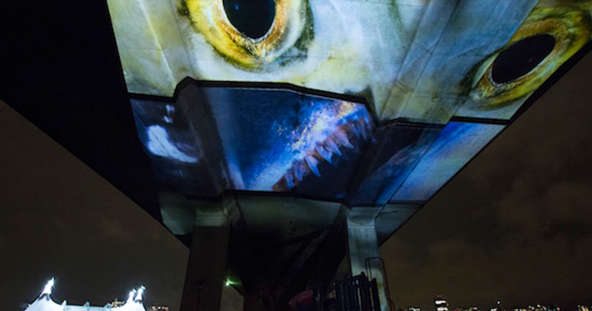 Uninterrupted turns concrete bridge into a projection screen for salmon ...