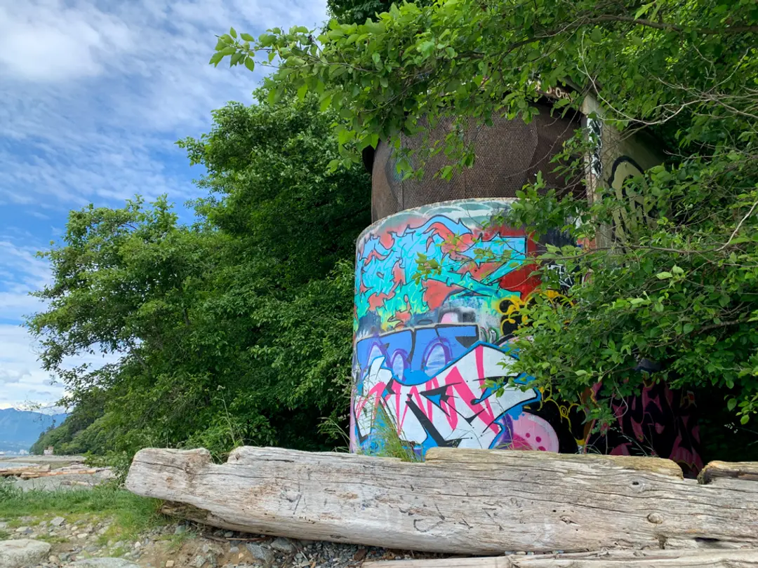 9 Things to do in Pacific Spirit Regional Park | Destination Vancouver