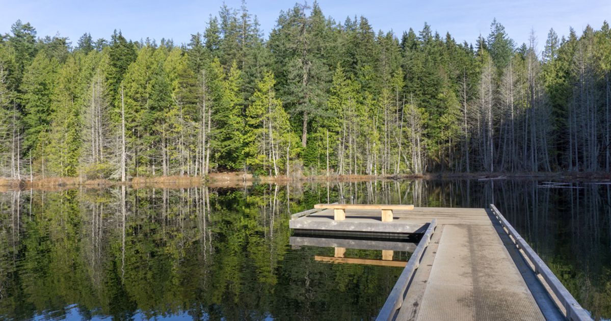 November’s Vancouver Hike of the Month: Whyte Lake | Destination Vancouver