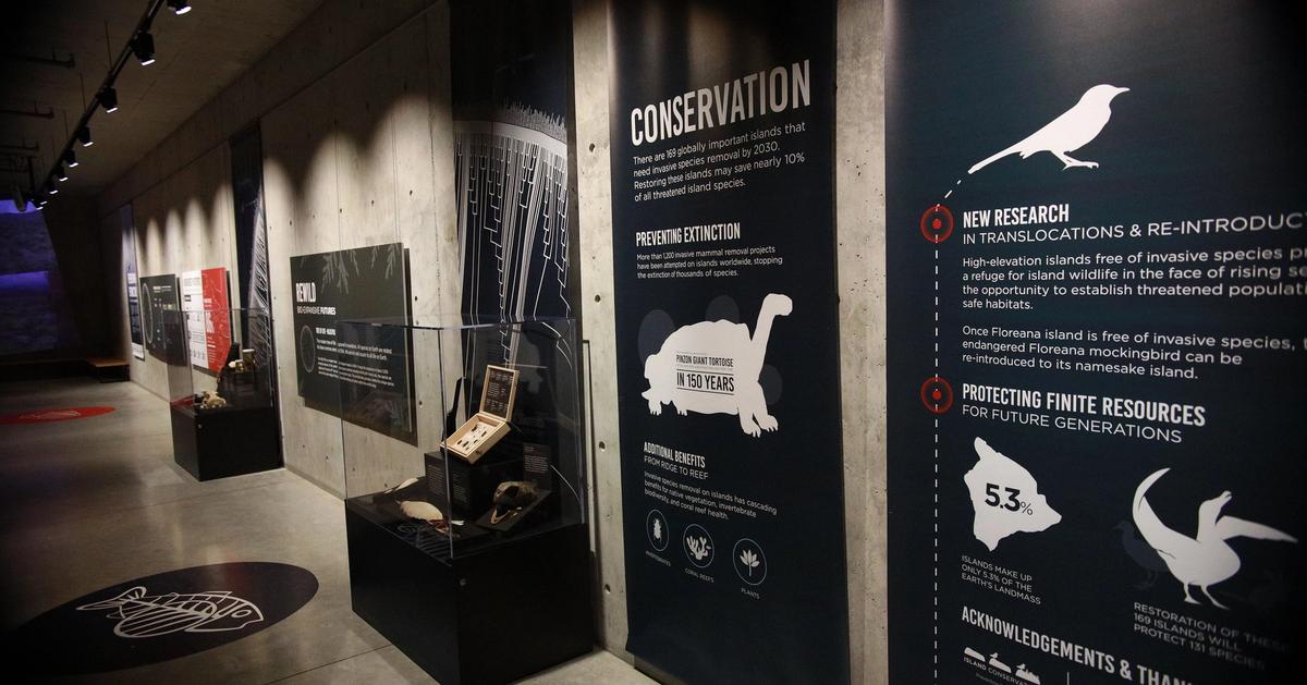 Vancouver’s Beaty Biodiversity Museum Showcases Island Conservation ...