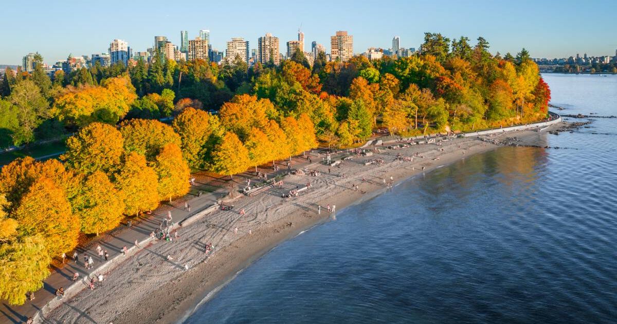 Fall Foliage Strolls in Vancouver | Destination Vancouver