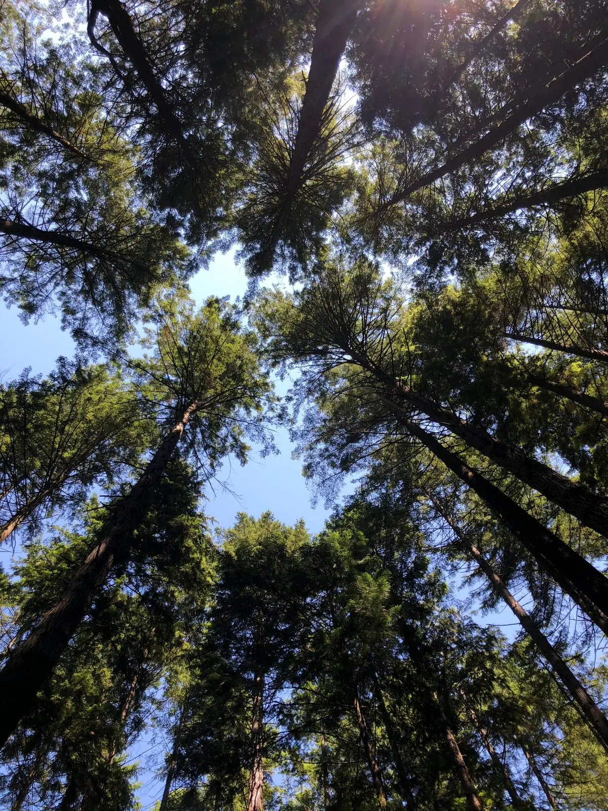 9 Things to do in Pacific Spirit Regional Park | Destination Vancouver
